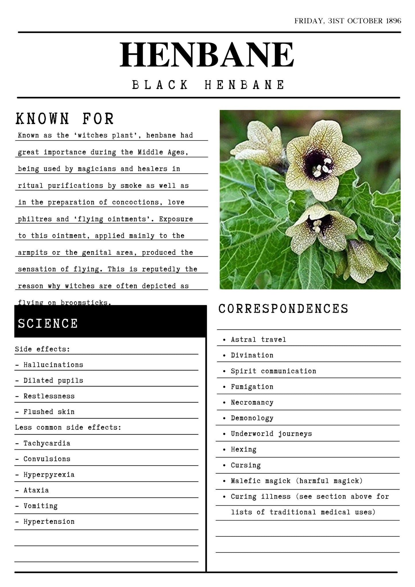 Witch Poisonous Herb Mini Book | Art Prints | Printed + Shipped – Moon ...